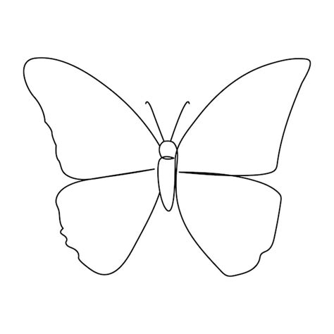 Vector De Contorno De Mariposa De Una Línea Continua Aislado En Fondo