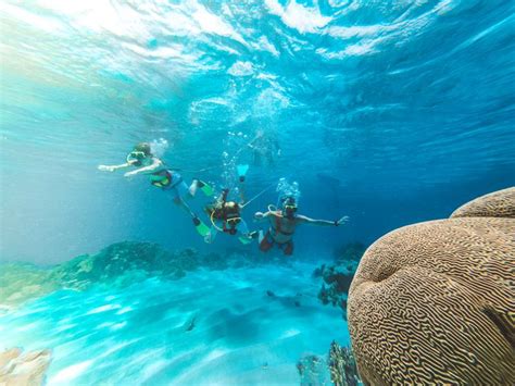 Aruba Snuba Diving Best Snuba Diving In The Caribbean