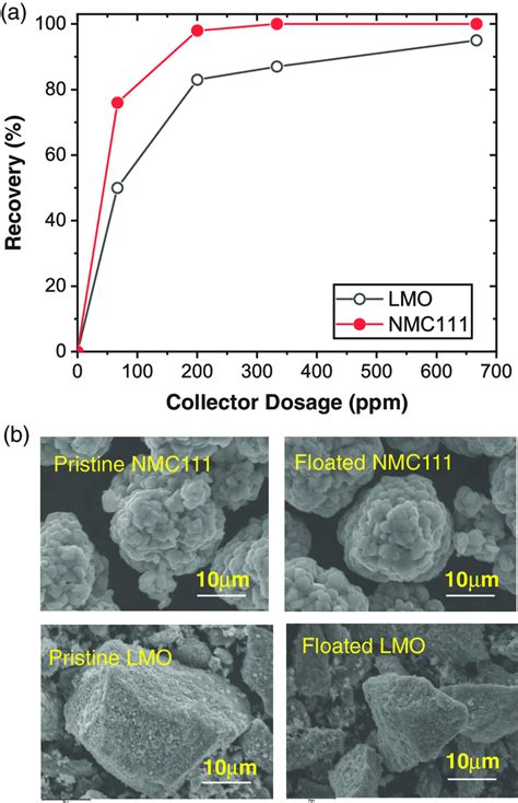 A Percentage Of Nmc111 And Lmo Materials Individually Floated In The Download Scientific