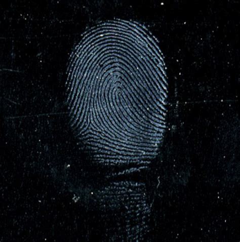 Sirchie Dual Purpose White Fingerprint Powder Kwick Soft Solutions