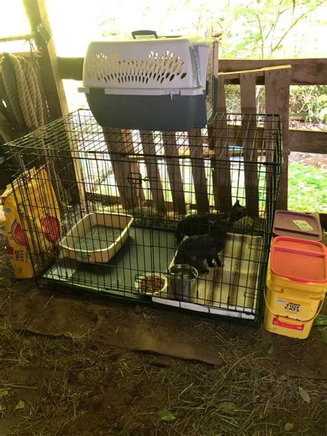 Adopt A Working Cat Program