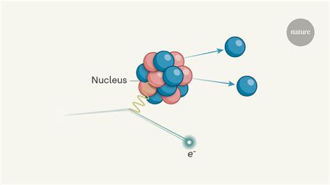 Weak Nuclear Force Examples