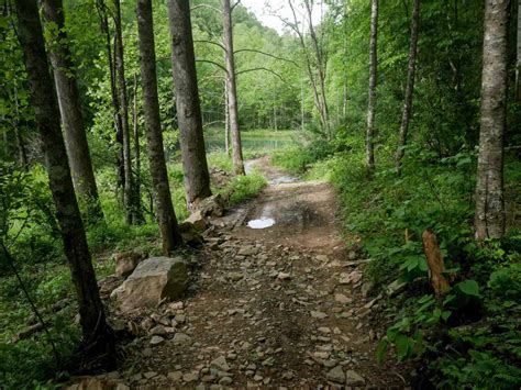 Mv7 Virginia Gps Trail Map Conditions And Difficulty Onx Offroad