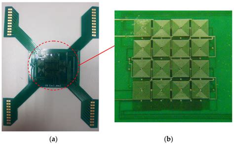 Characterization Of A Droplet Containing The Clustered Magnetic Beads