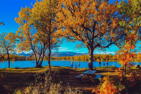 Otoño En El Lago De Noruega Los Alojamientos Más Cool De Noruega