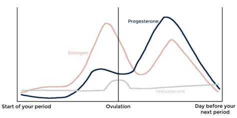 4 Hormone Problems From Using The Birth Control Pill • Laura Schoenfeld