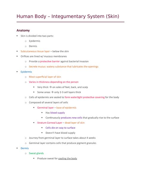 Integumentary System Rc Health Services Book Notes Human Body Integumentary System Skin