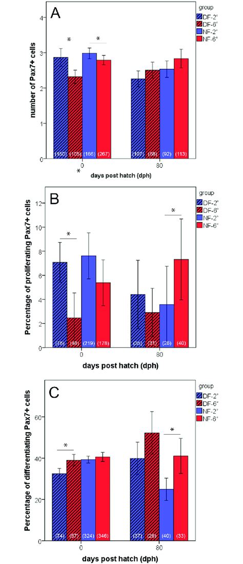Quantification Of Muscle Precursor Cells Mpcs Numbers Of Labelled Download Scientific