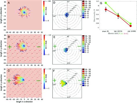 Simulation Of Osteoblast Cell Migration In Dc Electrical Field Each