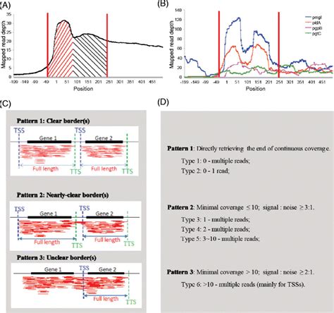 read distribution mapping patterns and tss tts extraction strategies