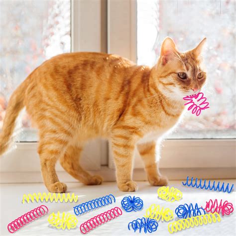 60 Pieces Thin Colorful Springs Cat Spiral Interactive