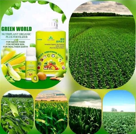 Liquid Organic Fertilizer Farmers Market Kenya