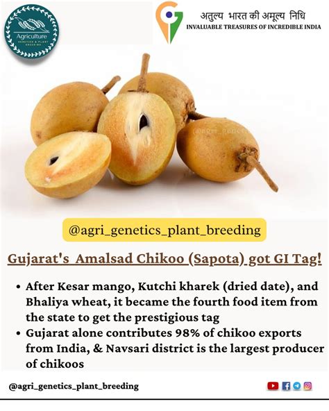 Agriculture Genetics And Plant Breeding Modi Apple Liberty X Gala