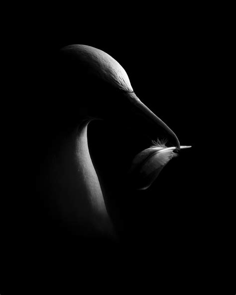 Artist Profile James Rogerson The Shetland Gallery