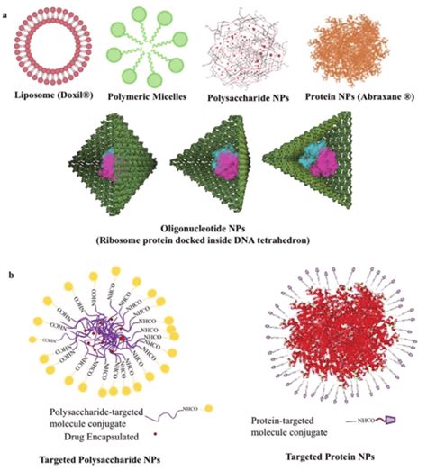 Sustainable Green Polymeric Nanoconstructs For Active And Passive