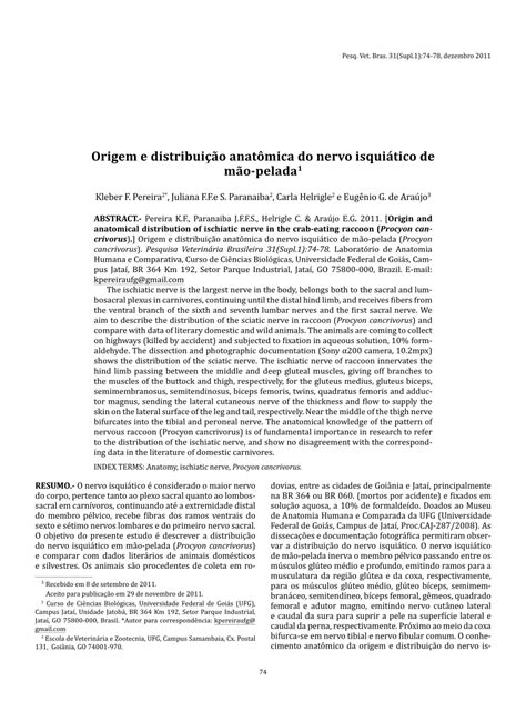 Pdf Origin And Anatomical Distribution Of Ischiatic Nerve In The Crab Eating Raccoon Procyon