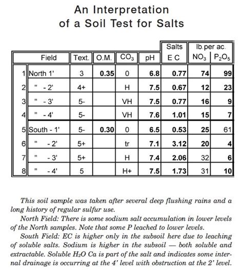 A Guide To Reading Soil Test Results Soil Testing Soil Test