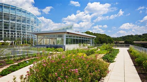 Phipps
