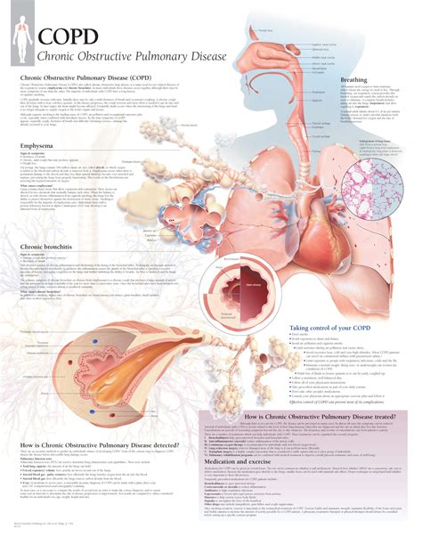 Copd Education Booklets