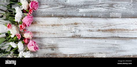 Real Flower Backgrounds