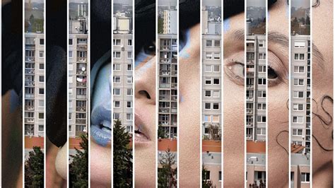 Shit Infested Roach Human Carcass Support Kulturní Přehled Čt Art