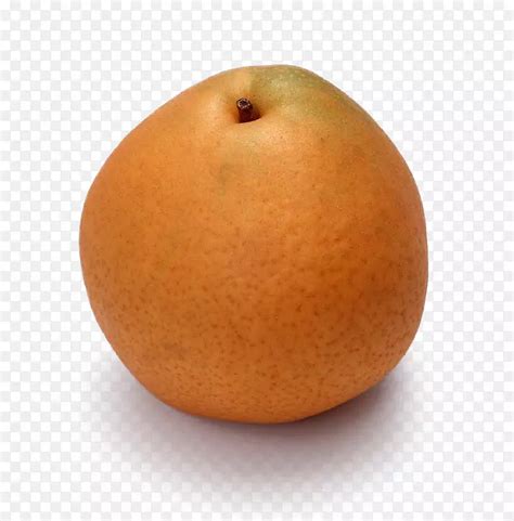 梨子 梨子png图片素材下载图片编号431450 Png素材网