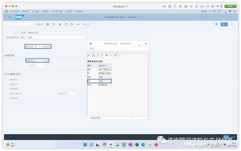 第15篇 Sap Mrp特殊采购类填坑：标准委外and需求传递and集合订单and虚拟物料实战案sap 标准委外 生产版本 Csdn博客