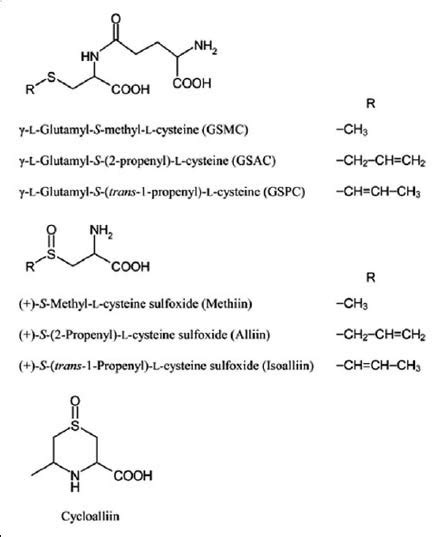 Chemical Structure Of Organosulfur Compounds In Garlic Download