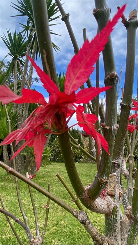 Claudia Freitas On Linkedin Some Colour To Brighten A Day