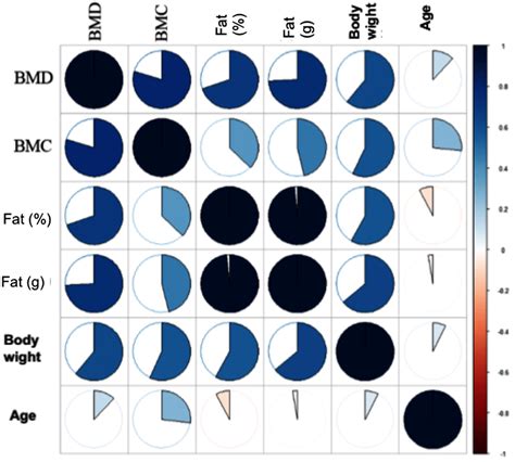 Heatmap For Correlation Coefficient For Roi Whole Body The Heatmap