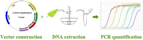 Figure 1 From Species Quantification In Complex Herbal Formulas—vector