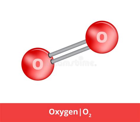 Vector Ball And Stick Model Model Of Chemical Substance Icon Of Oxygen Molecule O2 With One Vector Ball And Stick Model Model Of Chemical Substance Icon Of Oxygen Molecule O2 With One