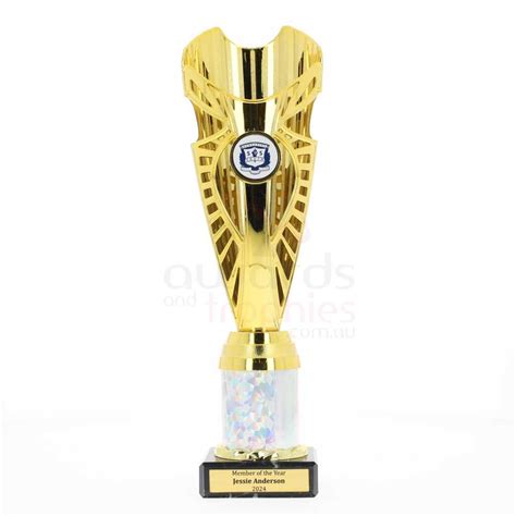 Shine Cup 270mm Goldsilver Budget Cups Au