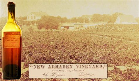 Early California Wine Trade Museum The Golden Age Of Wine In California