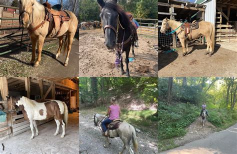 Rustlers Roost Trails Nashville Tn