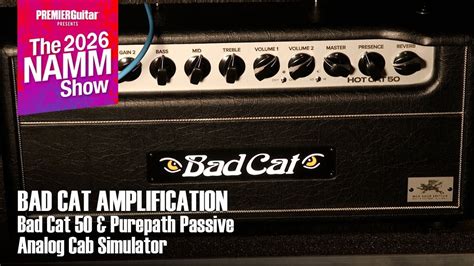 Bad Cat Amplification Hot Cat 50 And Purepath Passive Analog Cab