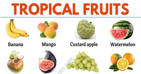 Tropical Fruits Pictures And Names