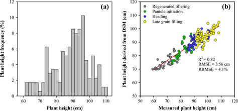 The Histogram Of Plant Height Distribution Across Four Sampling Stages