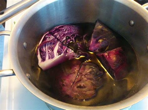 Natural Ph Indicators Make A Ph Indicator Using Beetroot Or Cabbage
