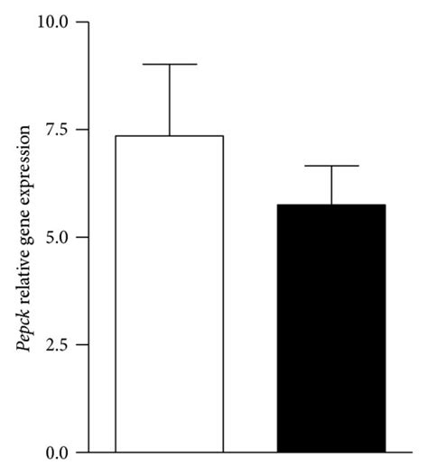 Hepatic G6pdh Panel A Chrebp Panel B And Pepck Panel C