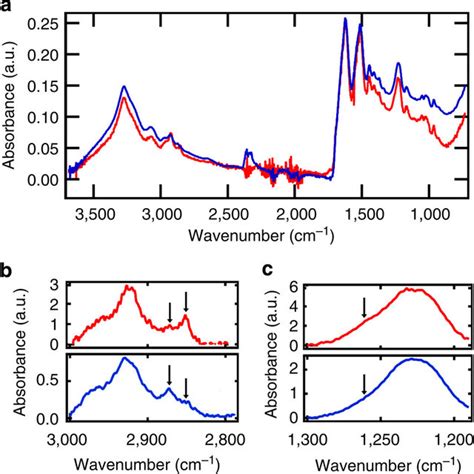 Ftir Spectra Of Neat And F Cnt Ss Fibres A Combined Ftir Spectra Download Scientific Diagram