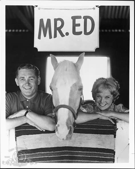 Mister Ed 1961