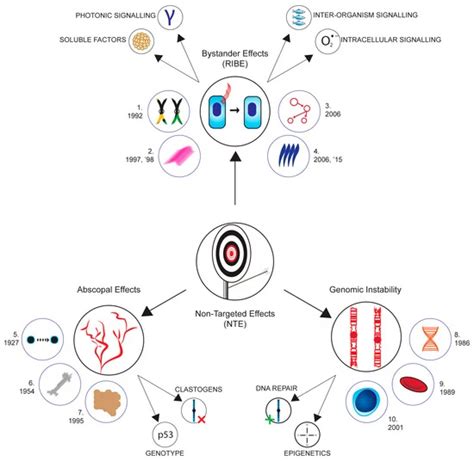 Exploring The Quantification And Measurement Of Entanglement In Three