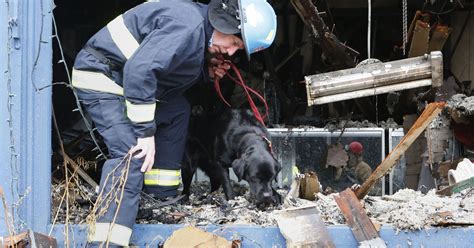 K 9 Arson Dogs For Westchester County Police Sniff Out Suspicious Fires