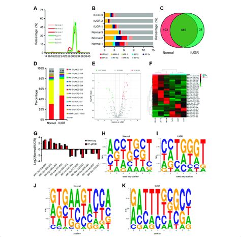 Expression Dynamics Of Tsrnas In Porcine Skeletal Muscle A Size Download Scientific Diagram