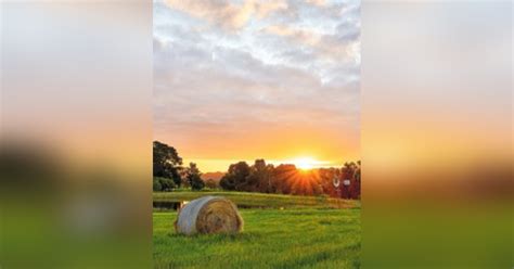 Obituary Information For Daniel A Yoder