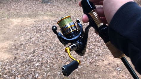 Shellcracker Vs Bluegill Are They The Same Fish Ramon Outdoors