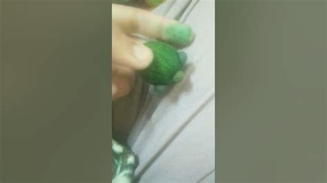 Short Kachva 🐢🥰😇 Youtube