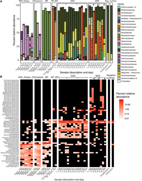 Frontiers The Water Microbiome Through A Pilot Scale Advanced