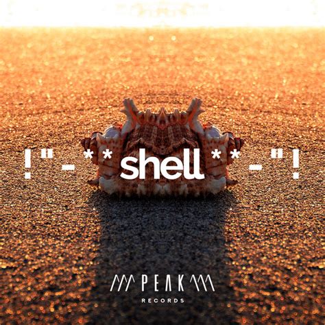 Shell Album By Beach Sounds Spotify